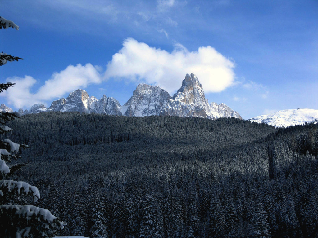 La Foresta di abete rosso - Parco Naturale Paneveggio Pale di San Martino